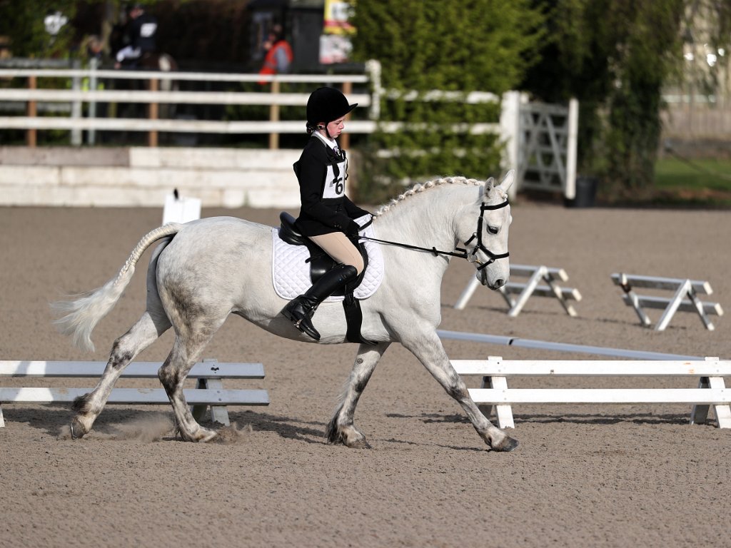 2025-04-15 IPC National Dressage Championships
